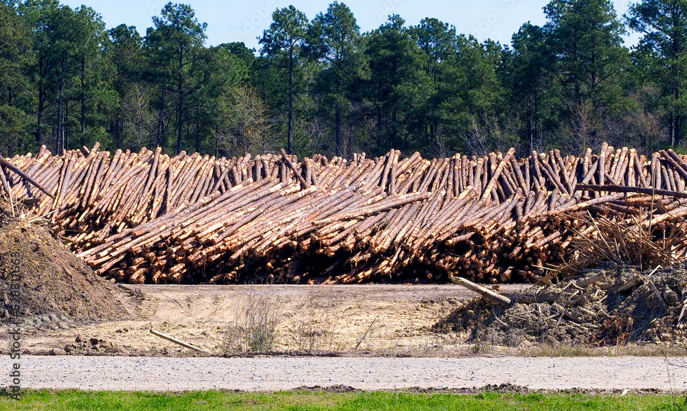 Logging pile, lodge poles, poles, pole, logging, logger, building ...