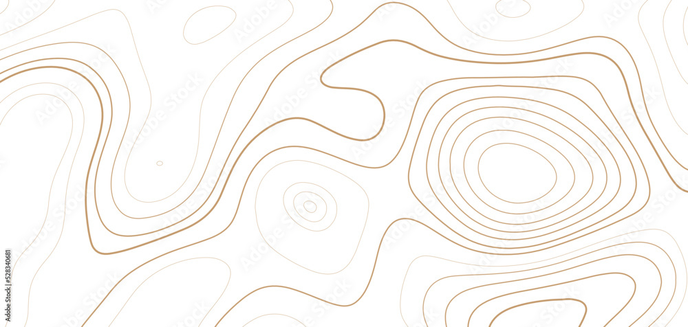 Topographic map background with space for copy . Line topography map ...