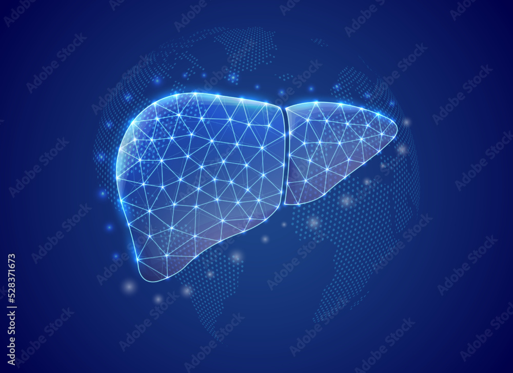 Liver 3d low poly symbol with blue world map background. Hepatitis ...