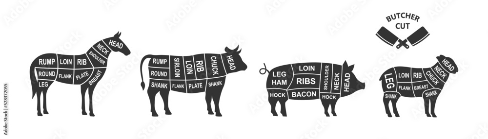 Set of farm animals scheme cuts. Butcher diagram poster. Pig, Horse ...