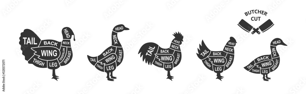 Set of farm birds scheme cuts. Butcher diagram poster. Turkey, Chicken ...