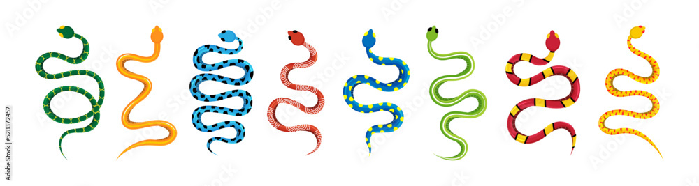 Poster Set of colored snakes – Wall Art | UkPosters