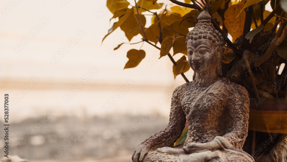 Buddha statue sit under Bodhi tree on natural light background. Stock ...