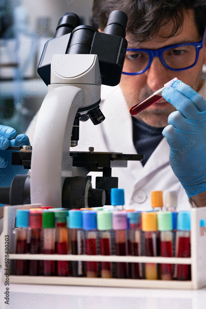 Microscopist scientist analyzing blood sample in microscope in the ...