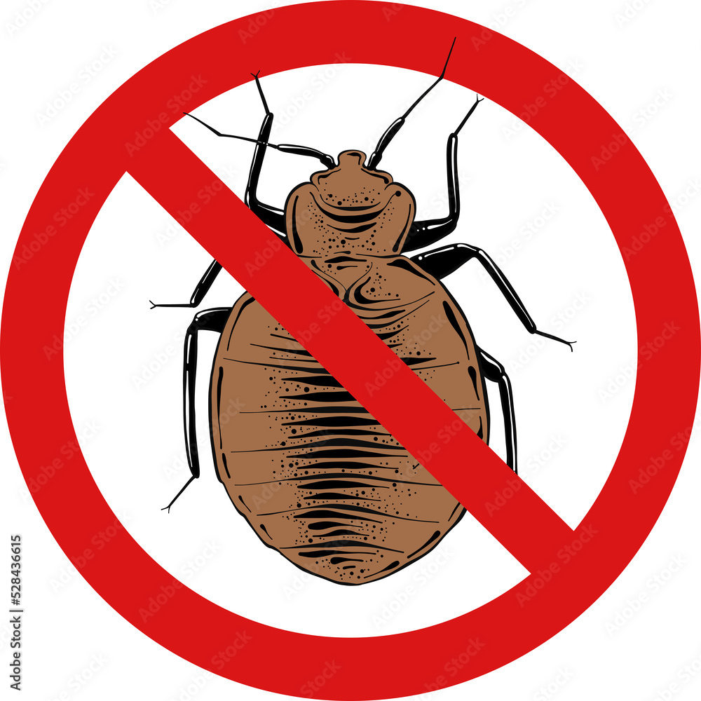 PNG hand drawn engraved isolated illustration of bug, crum, bedbug ...