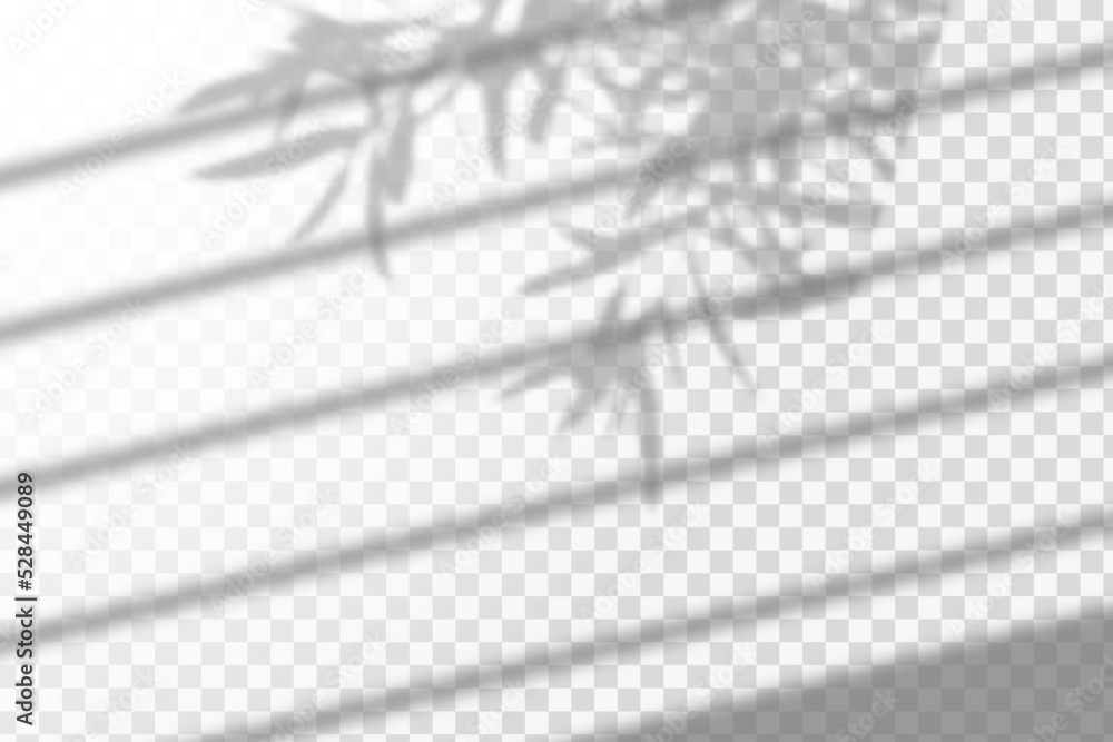 Soft shadow form window and plants, light overlay effect. Scenes of ...