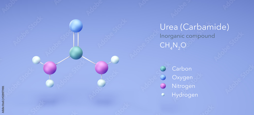 urea, carbamide, inorganic compound, molecular structures, 3d model ...