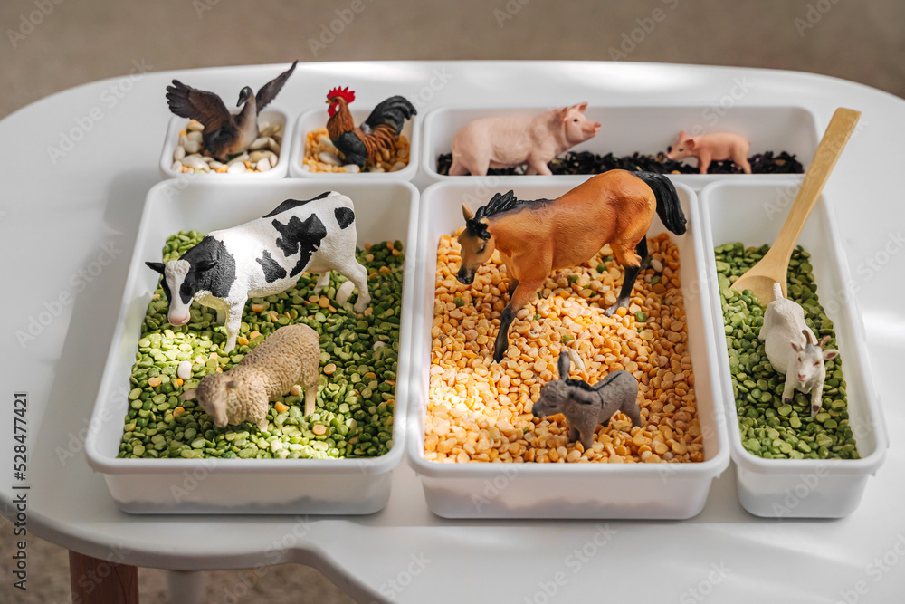 Farm animals in sensory bin. Educational game. Learning through play ...