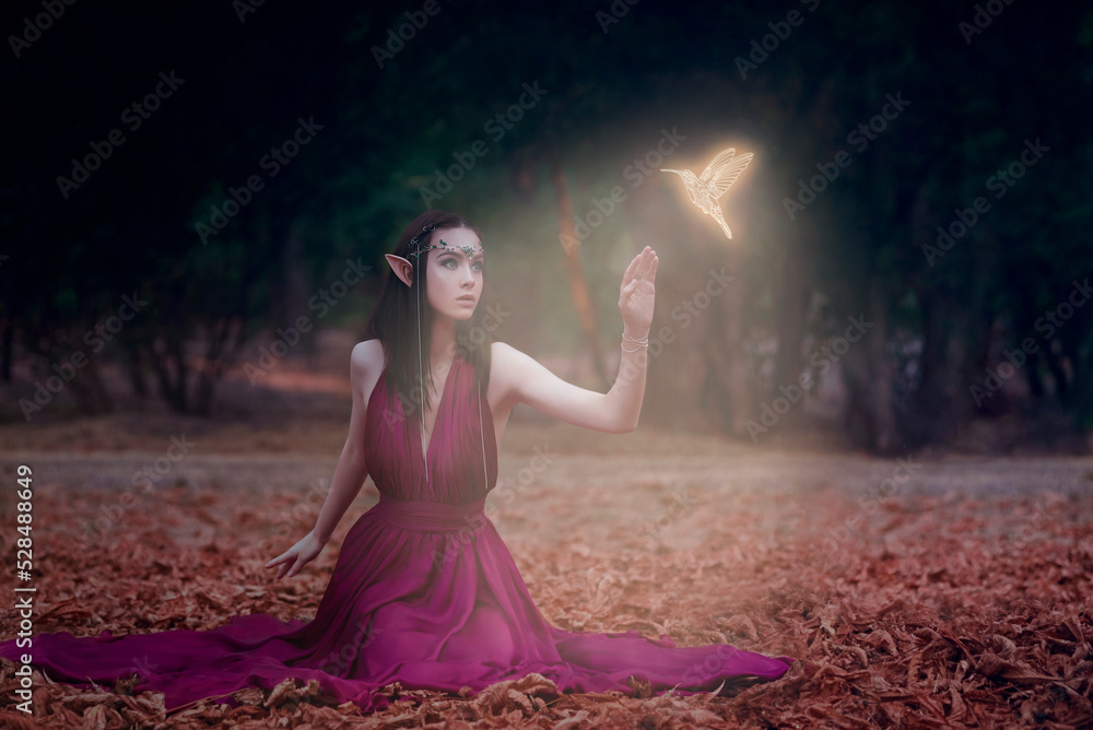 Fairytale elven princess with a magic bird in a dark forest. Night in ...