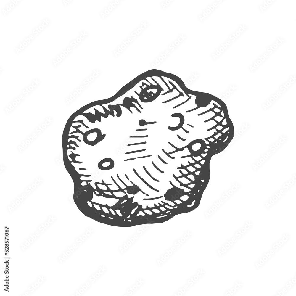 meteorite vector sketch hand drawing illustration Stock Vector | Adobe ... meteorite vector sketch hand drawing illustration Stock Vector | Adobe ...