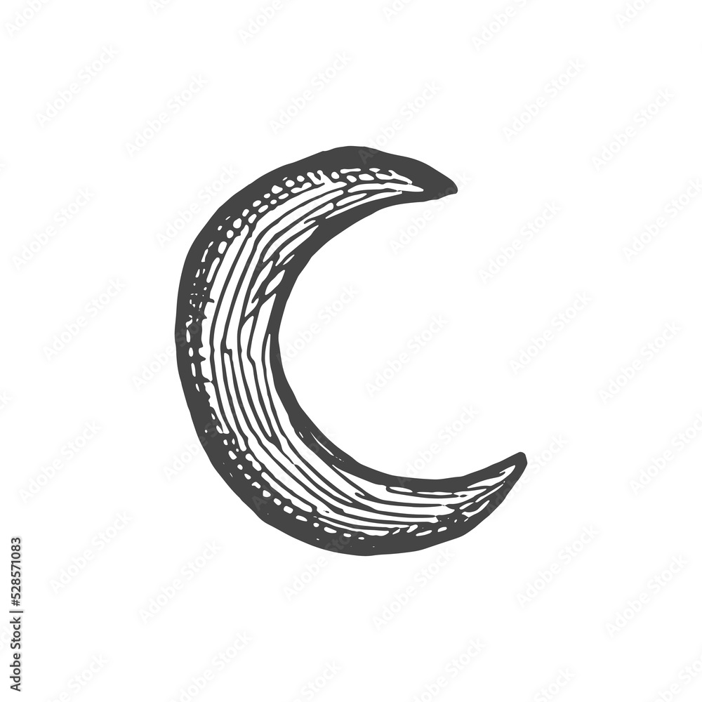 month moon sketch vector illustration Stock Vector | Adobe Stock