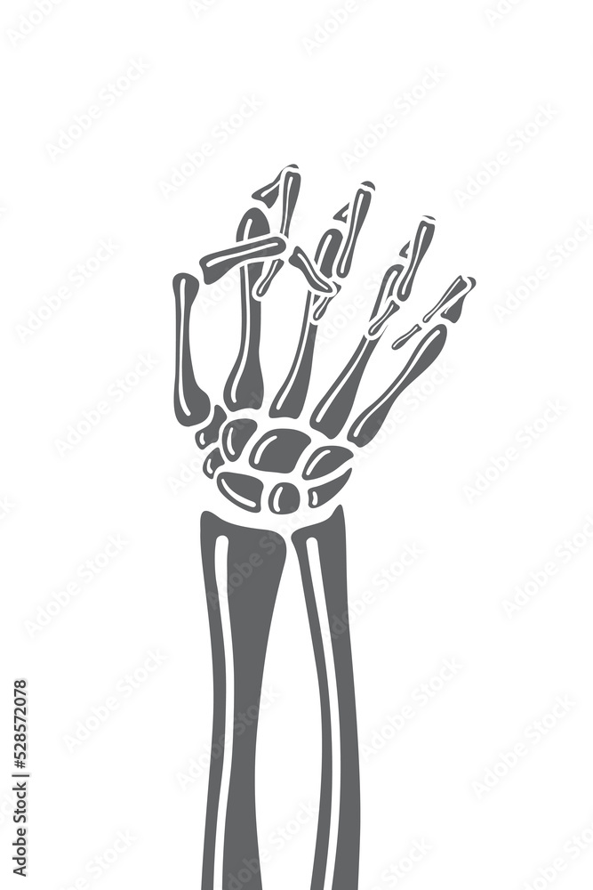 Human Skeleton Raised Hand Clenched into Fist as Power Hand Sign ...