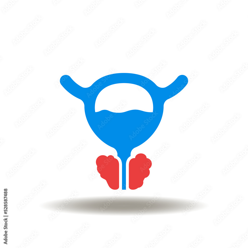Vector illustration of prostate inflammation. Icon of urinary ...