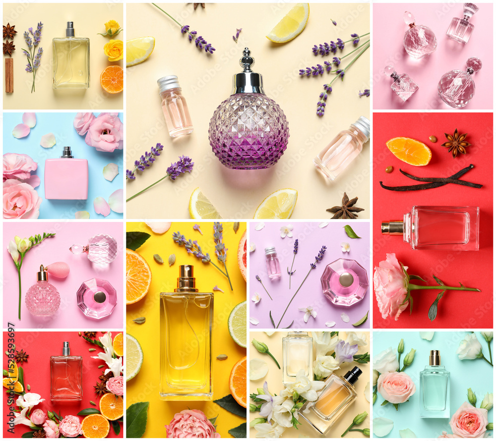 Beautiful collage with photos of luxury perfume and ingredients ...