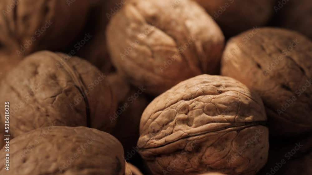 Walnuts. Camera slowly moves up to show walnuts in shadow and on which ...