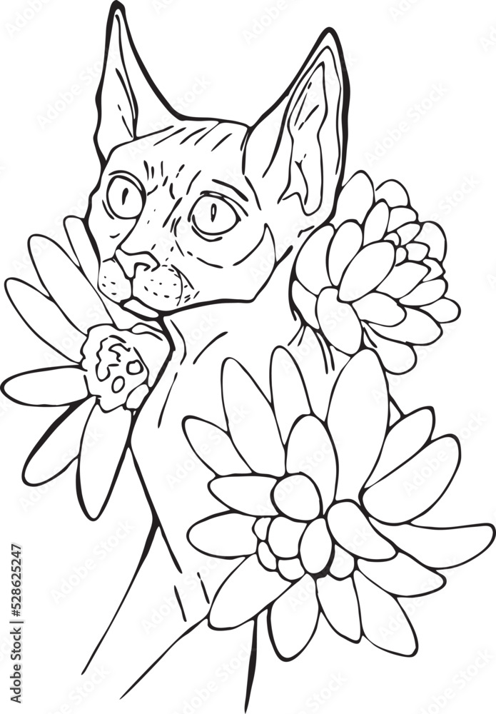 Vector illustration funny Sphynx cat with flowers succulents linear ...