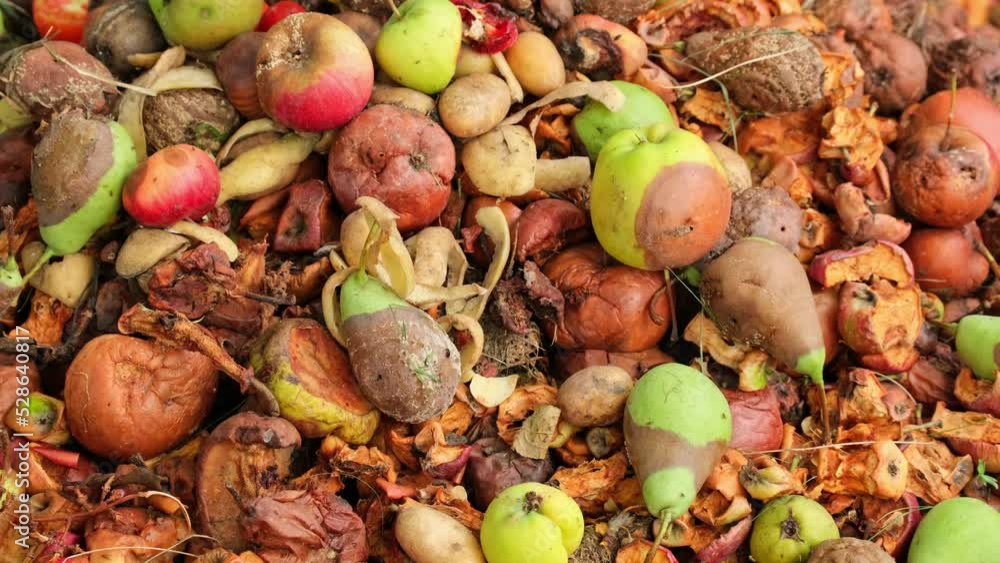Food Waste. Compostable food scraps. Domestic organic waste for compost from fruits and ...