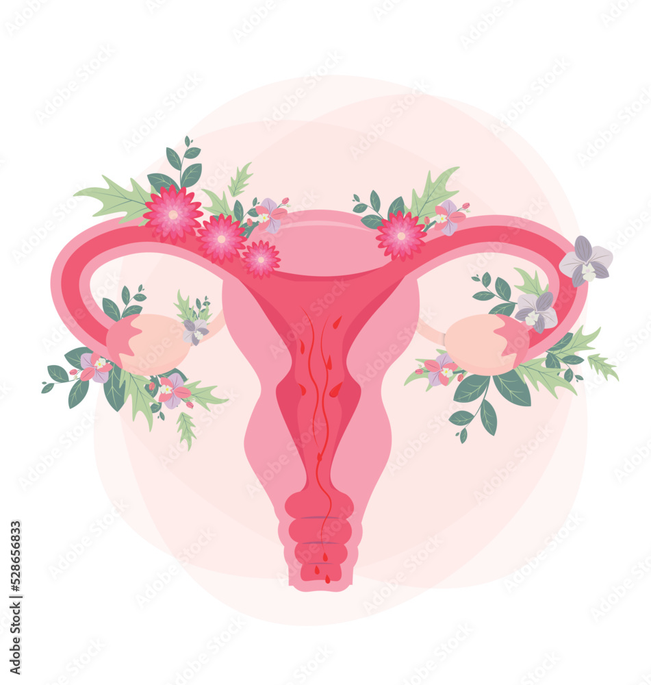 Organ of the uterus with flowers,female nature. Feminism concept ...