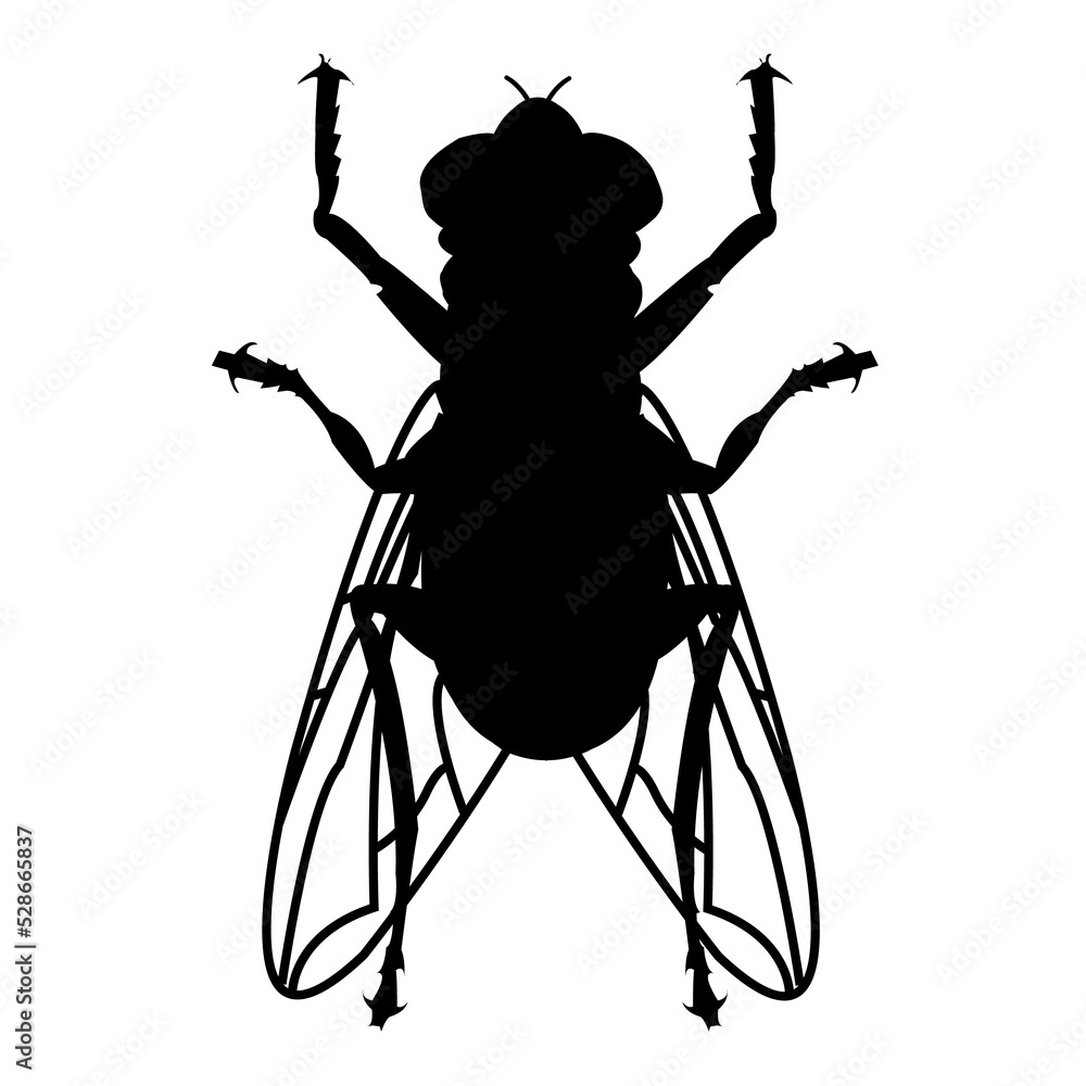 Silueta de mosca insecto aislada Stock Illustration | Adobe Stock