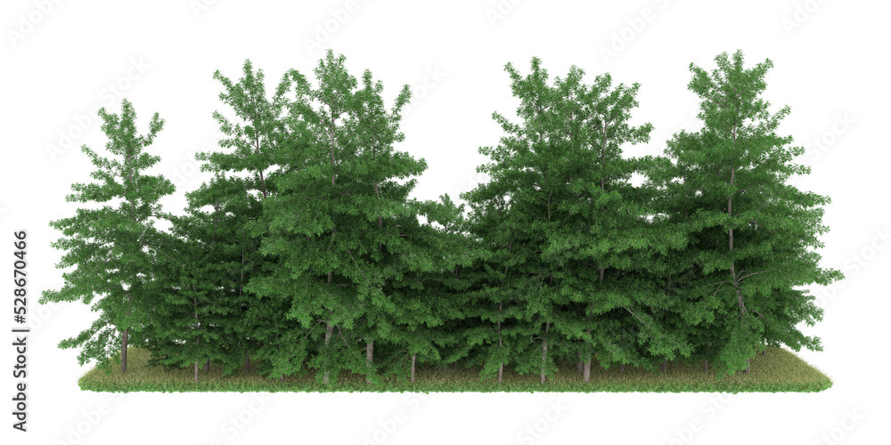 Forest on transparent background. 3d rendering - illustration Stock ...