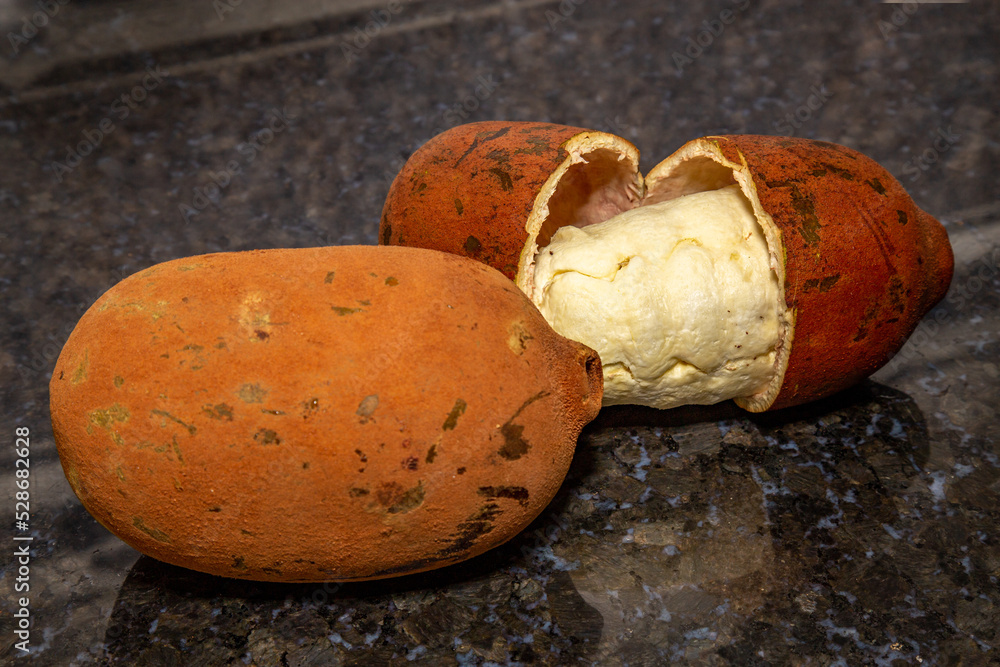 Ripe cupuaçu fruit (Theobroma grandiflorum) opened showing the seeds ...
