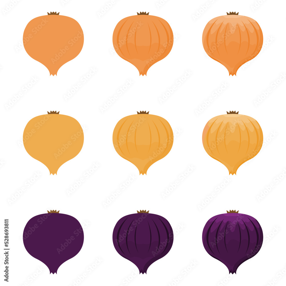 A vector drawn onion illustration with various colors and amount of ...