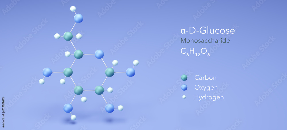 Alpha D Glucose Monosaccharide Molecular Structures 3d Model Structural Chemical Formula And
