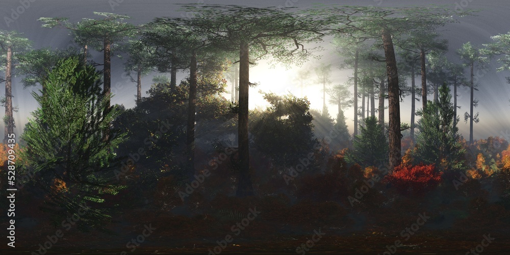 Trees in the fog. Environment map. HDRI map. equidistant projection ...