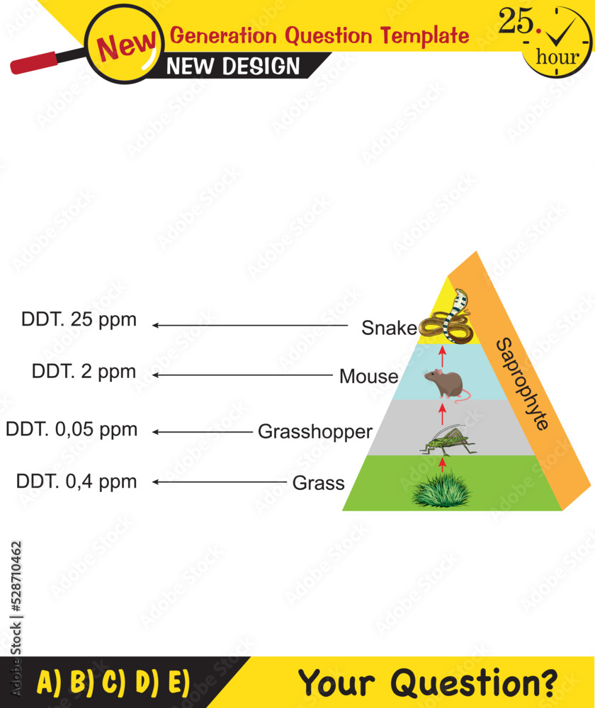 Physics, Vector Illustration of food chain - energy pyramid ...
