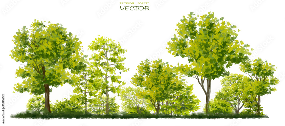 Vector watercolor of tree side view isolated on white background for ...