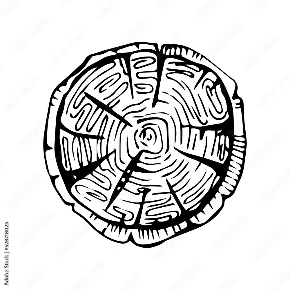 Tree trunk rings cut isolated close up vector cartoon illustration set ...