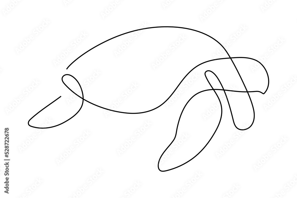 single line drawing of sea turtle swimming Stock Vector | Adobe Stock