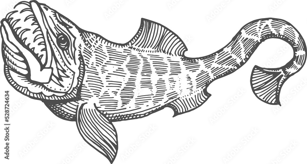 Hafgufa massive sea monster mythical fish creature Stock Illustration ...