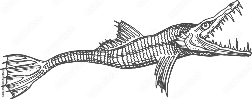Marine beast, fish with jaws, cetus sketch animal Stock Illustration ...