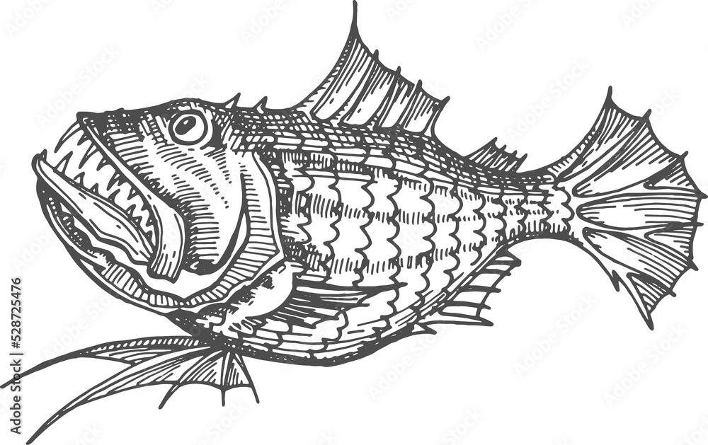 Deep ocean fish with sharp teeth isolated sketch Stock Illustration ...
