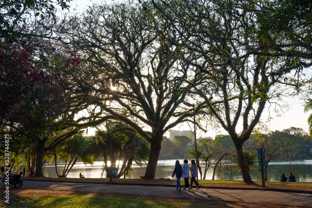 Paisagem do parque municipal com muitas arvores e um lago Stock Photo ...