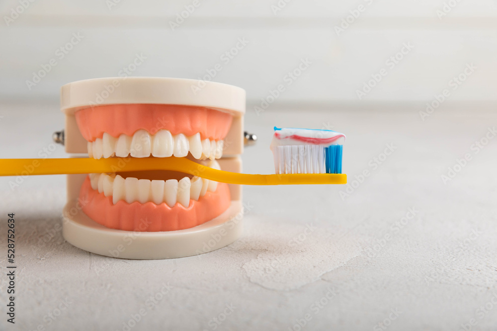 Dentures with a toothbrush on a white background. Upper and lower jaws ...