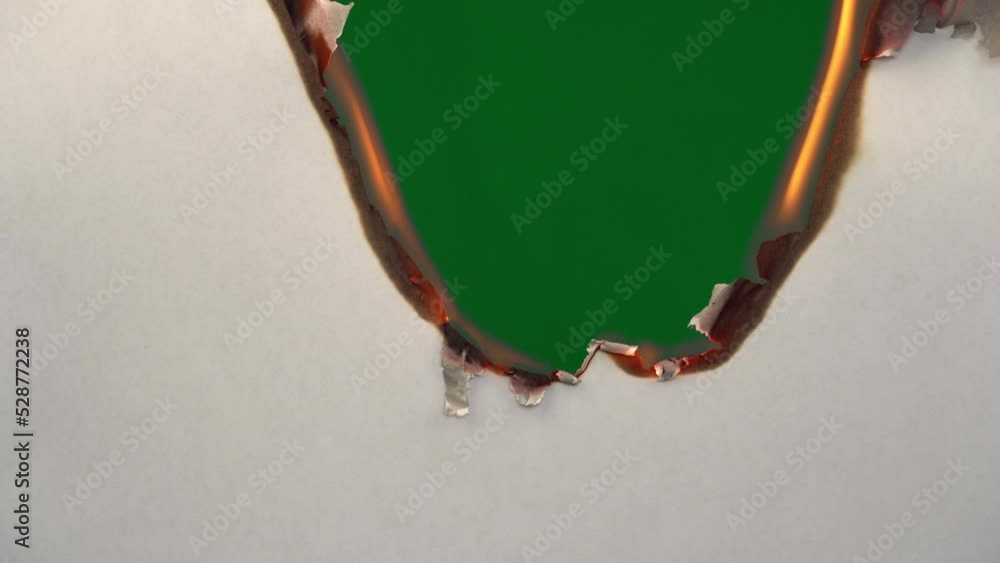White paper burns from above on a green background copy space. The ...