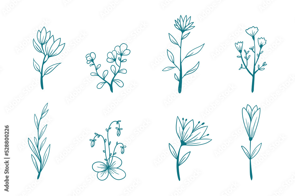 8 Flower set hand drawing vector for aesthetic design or design element ...