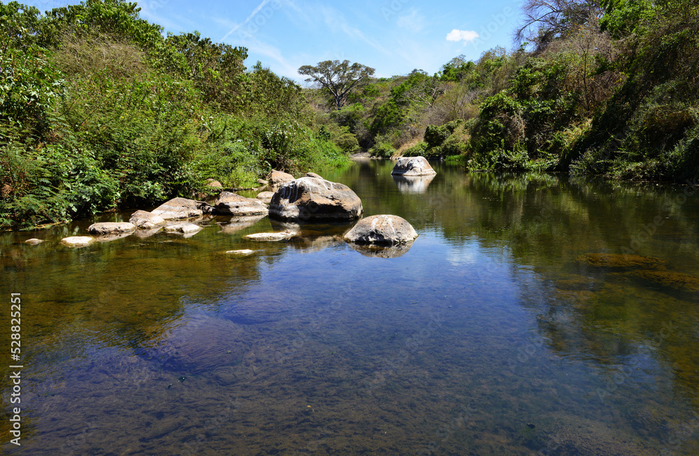 Arroyo en medio del campo en méxico paisaje mexicano riachuelo se agua ...