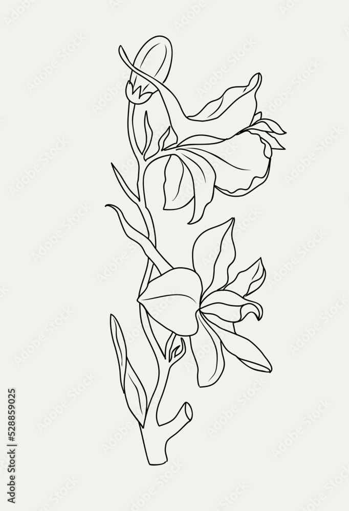 July birth month flower Larkspur line art vector illustration ...