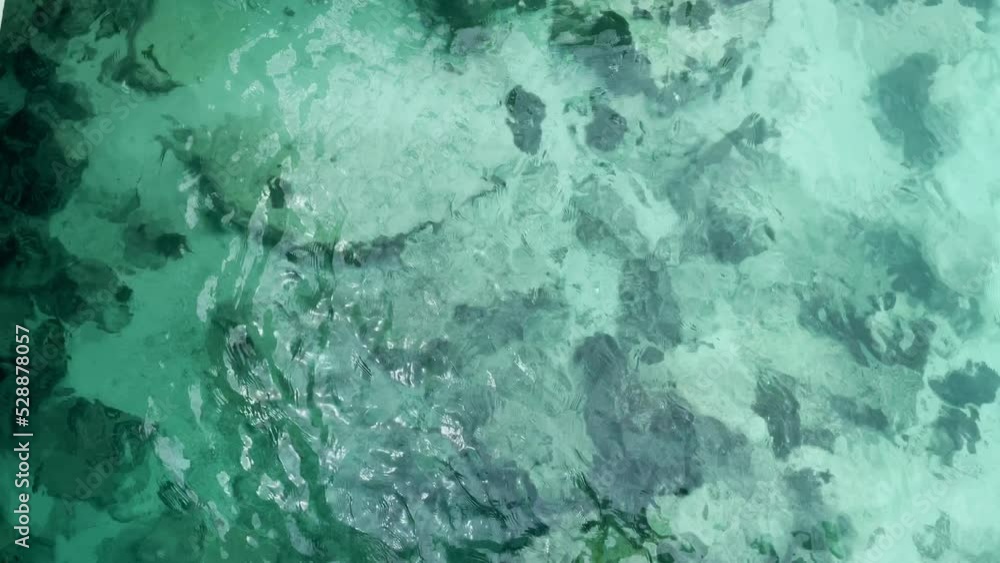 ocean, water, sea, transparent, background, blue, cyan, waves, aqua ...