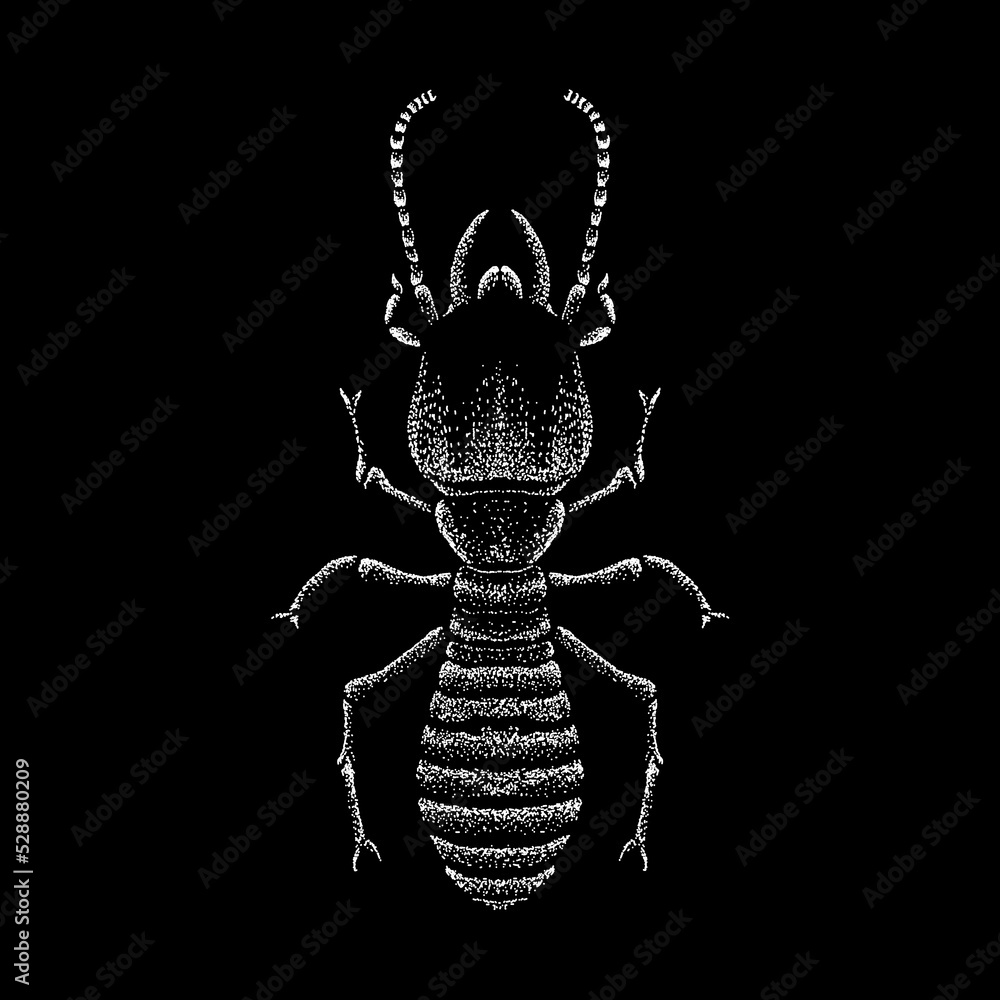 How To Draw A Termite