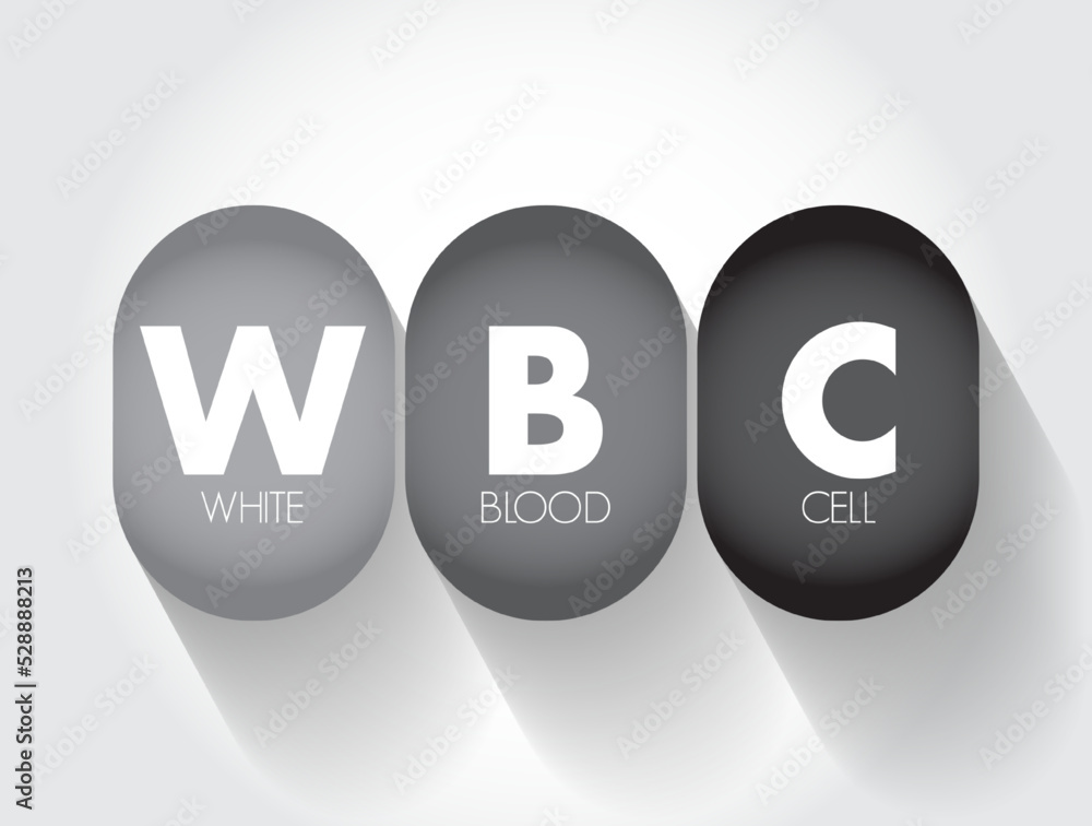 WBC White Blood Cell - cellular component of blood that helps defend ...