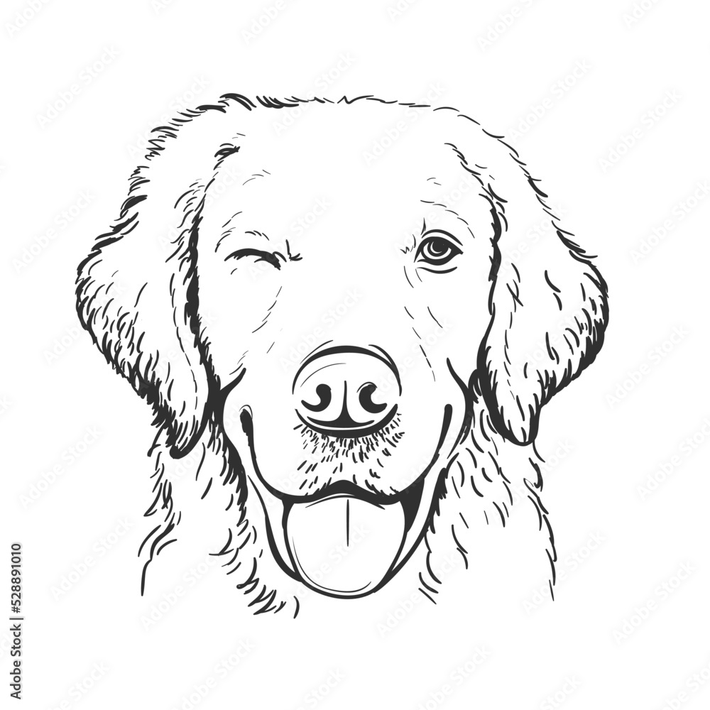 Black Lab Face Outline