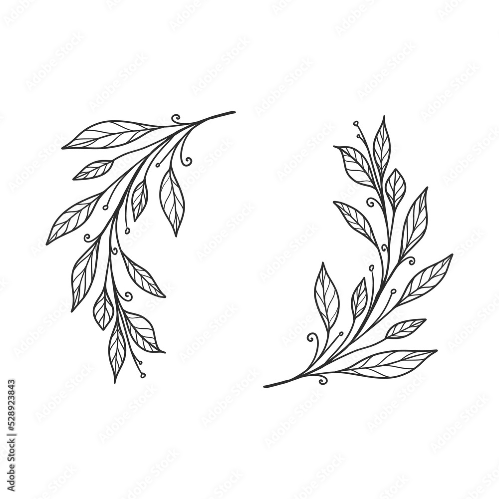 Dry leaf composition Arrangement for wedding invitation design, plants ...