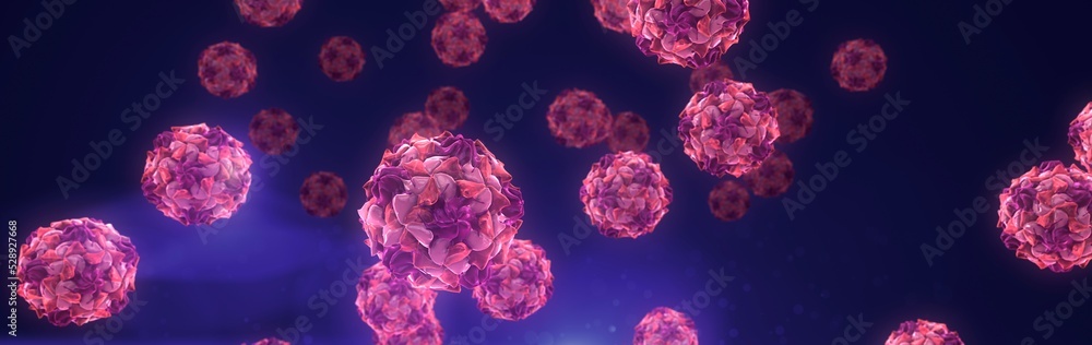 Polio virus particles with their viral capsid proteins VP1, VP2, VP3 ...
