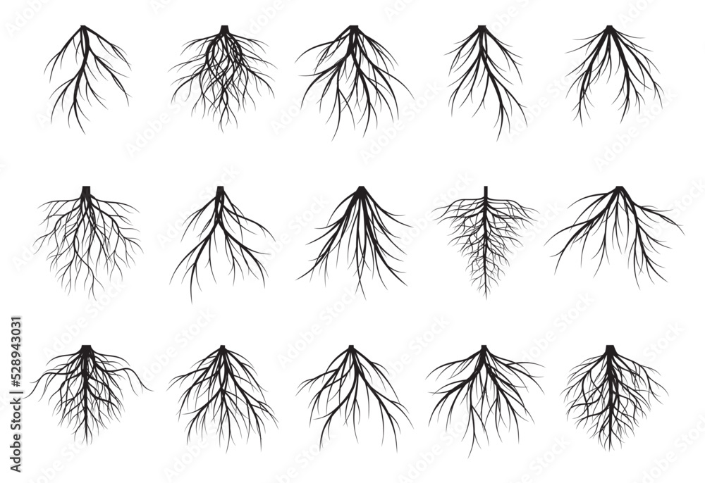 A set of black Tree Roots. Vector outline Illustration. Plant and ...