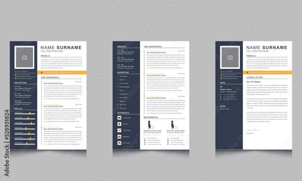 Vector Creative Two Page Professional Resume CV Template Layout and ...
