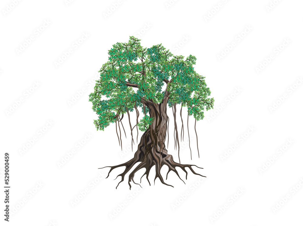 Banyan tree vector illustrations, hand drawn art isolated on white ...